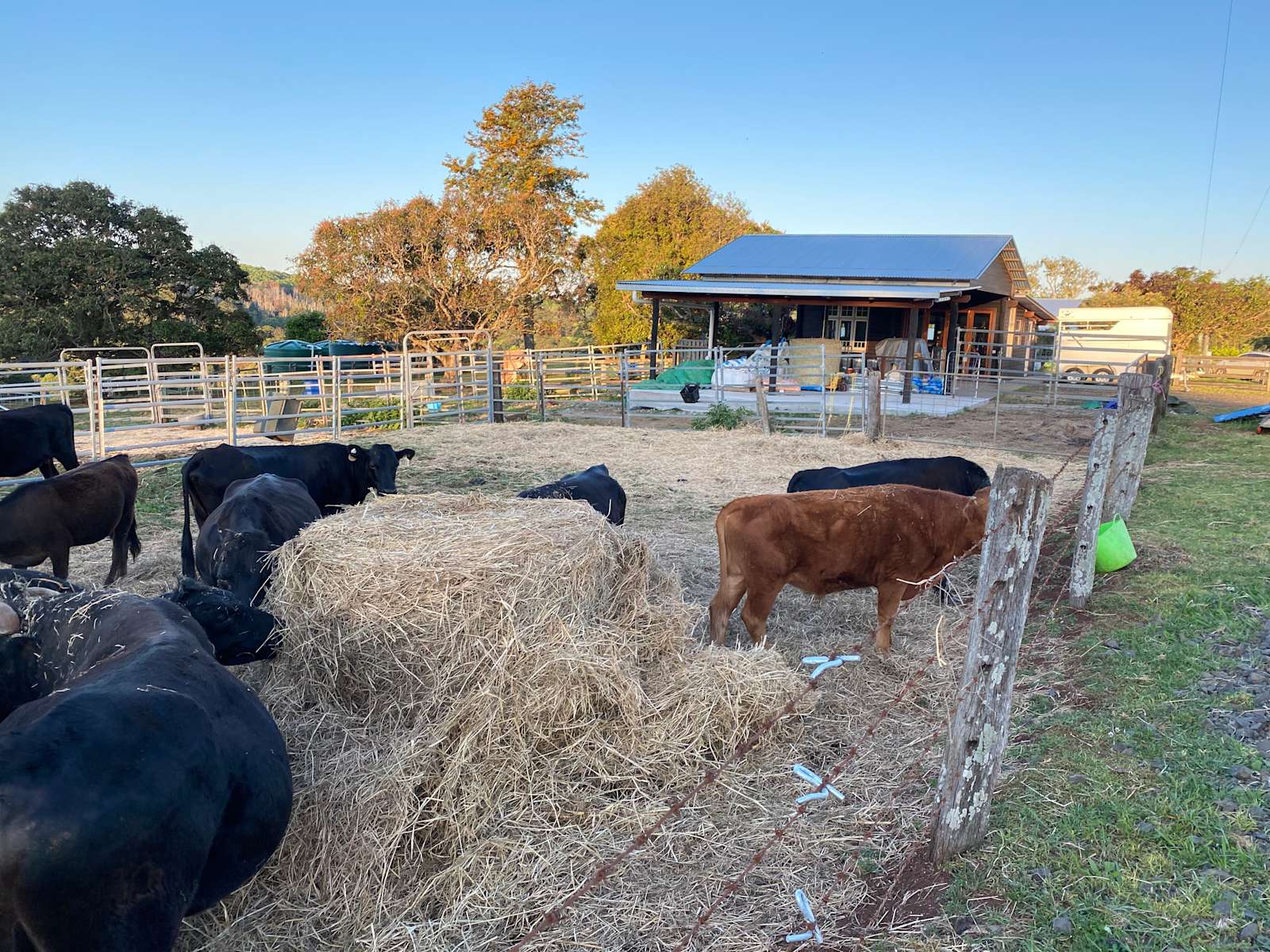 Top Shed Camp Site - Hipcamp in Goonengerry, New South Wales