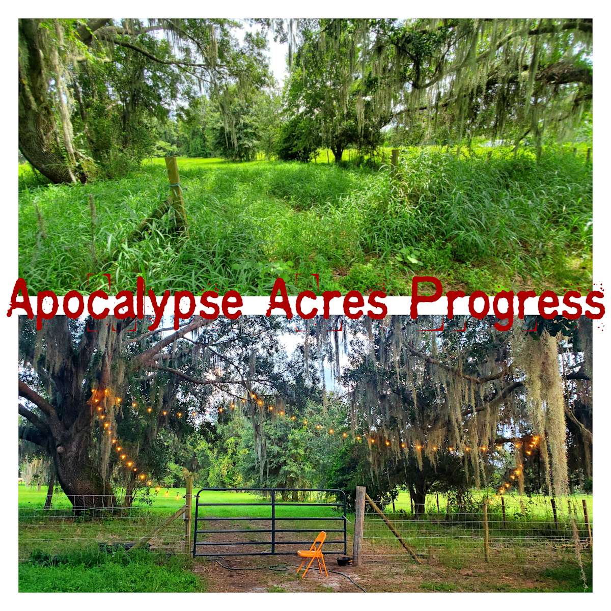 Jessica S.’s Land - Hipcamp in Groveland, Florida