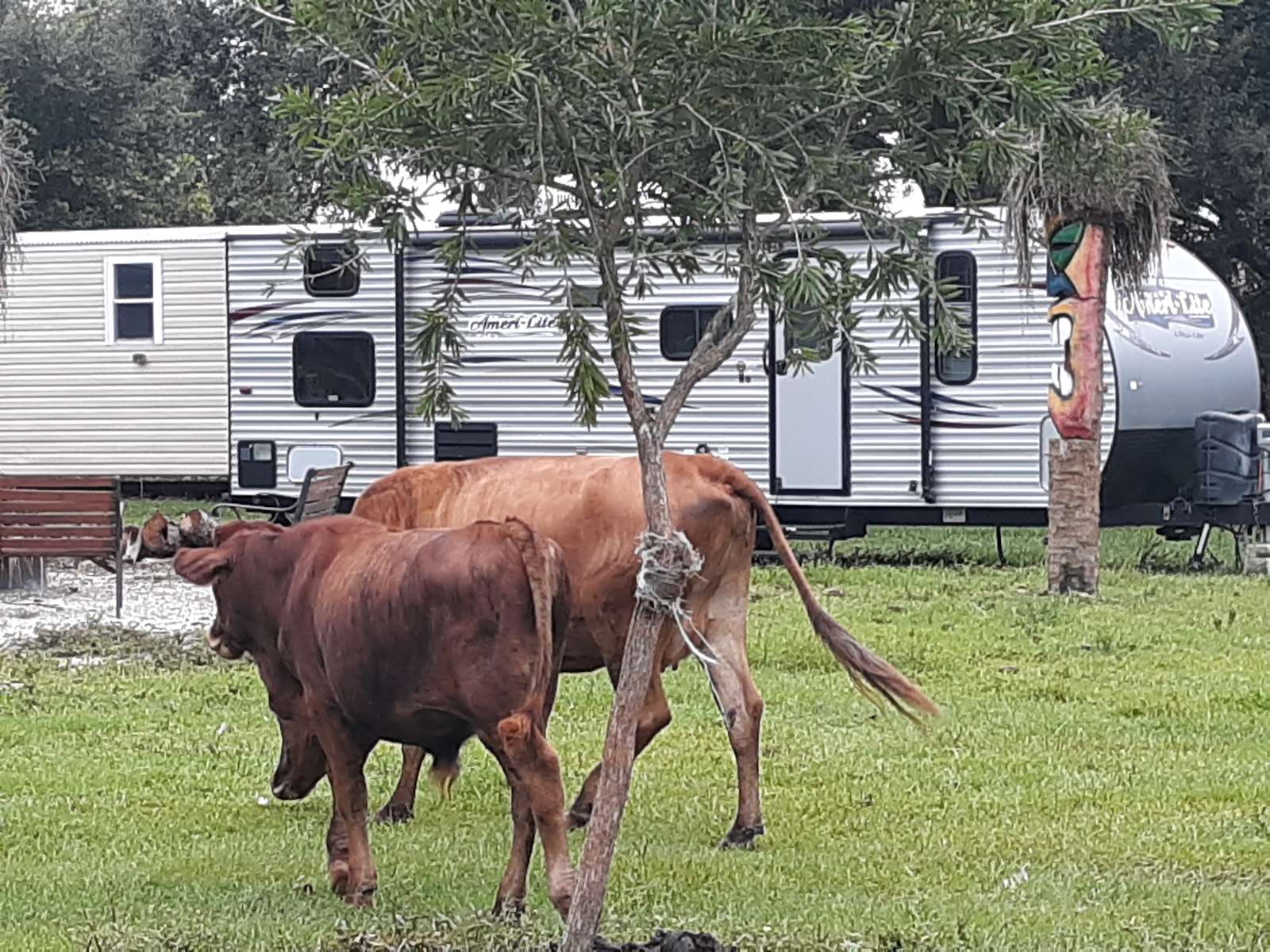 Countryside Fun just for you - Hipcamp in La Belle, Florida