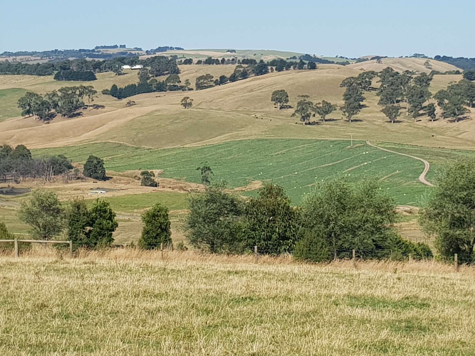 Wallaby Flat - Hipcamp in Glen Alvie, Victoria