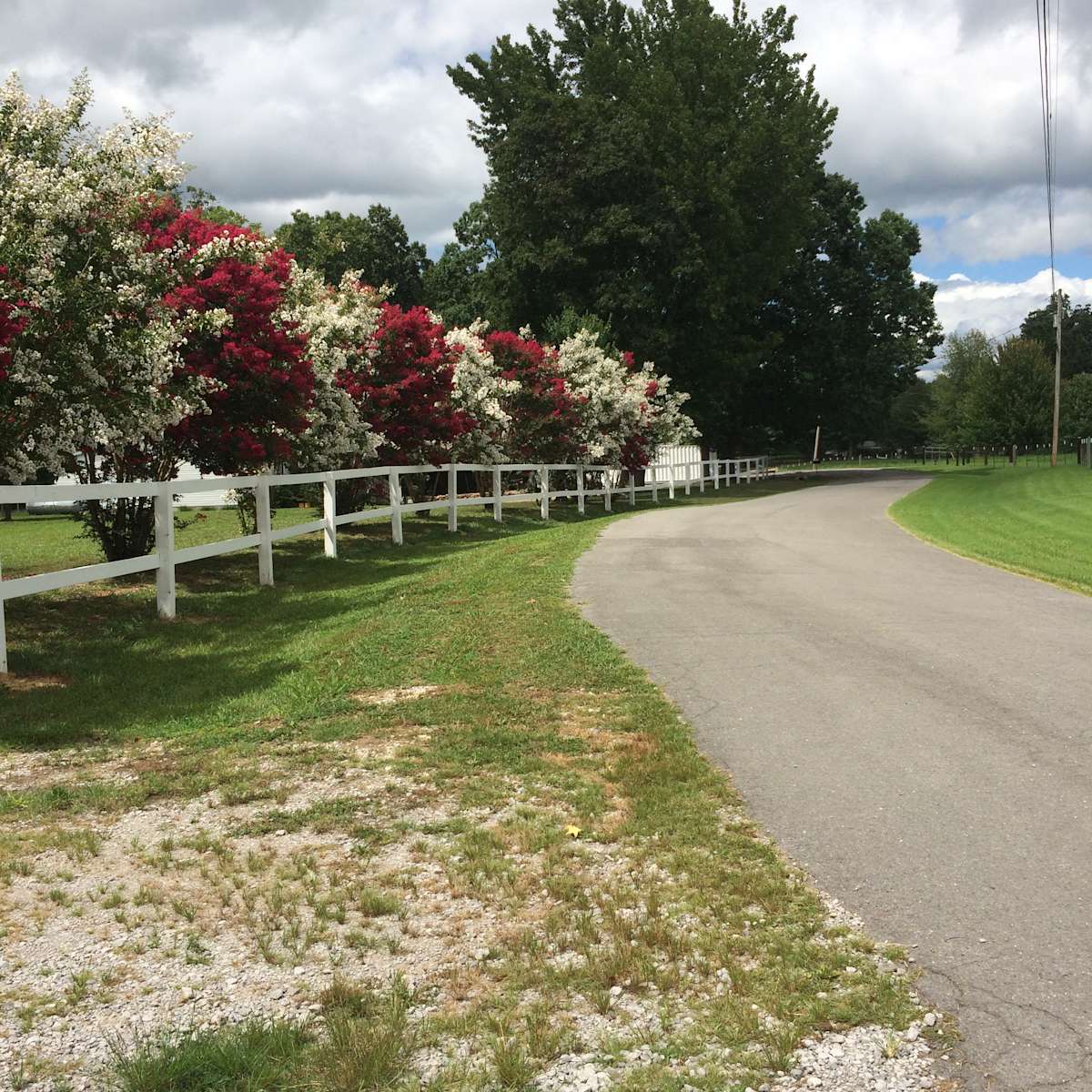 Hikers Paradise - Hipcamp in Woodville, Alabama