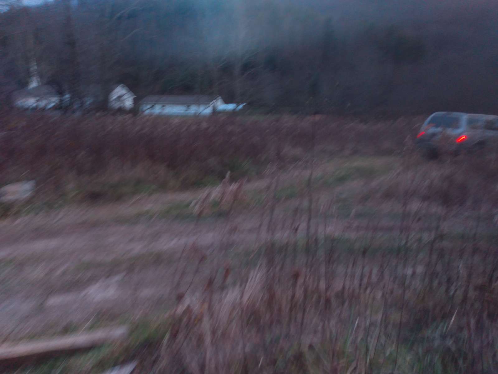 Luke P.’s Land - Hipcamp in Banner Elk, North Carolina