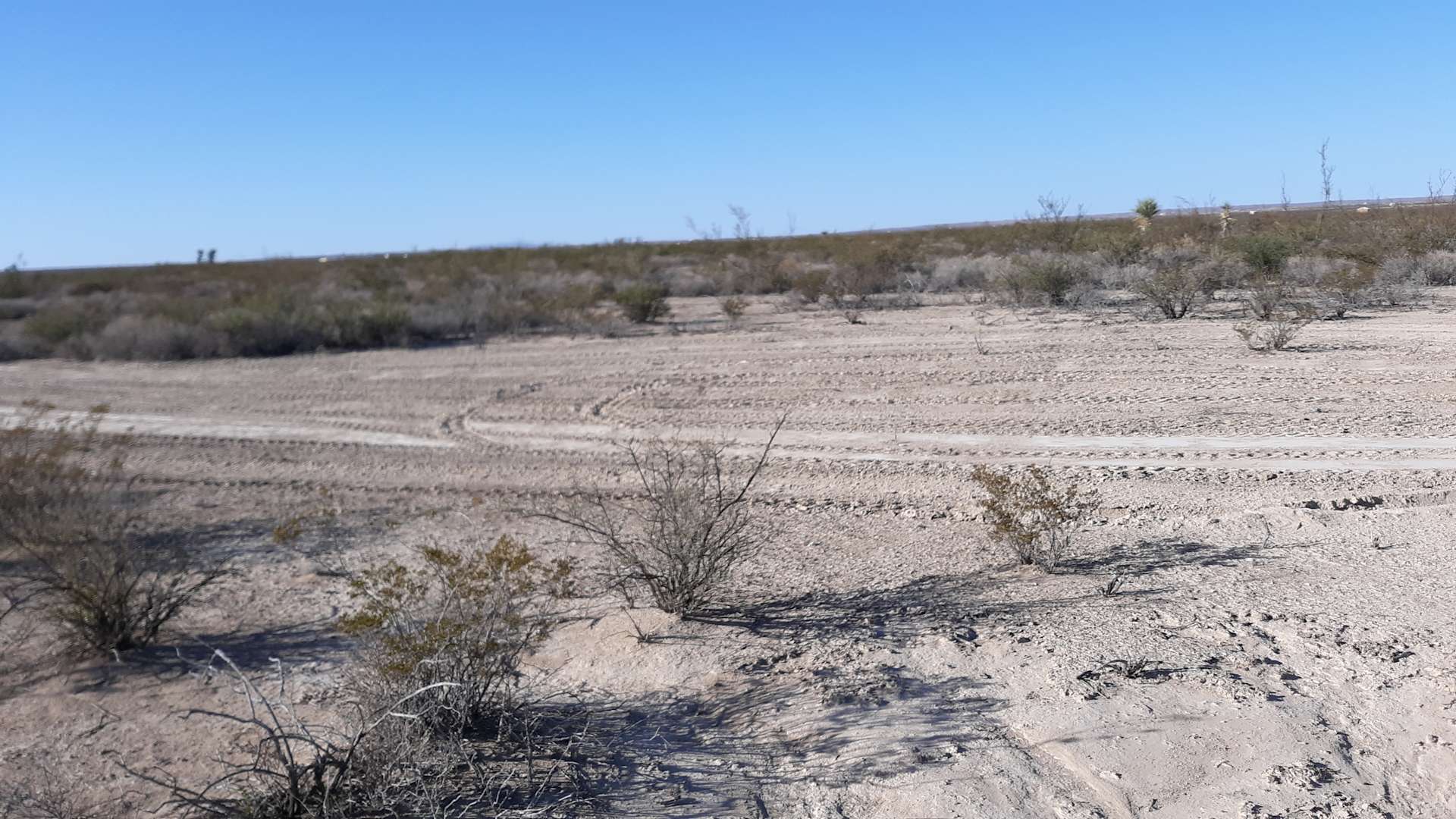Badger Hill Farm camp grounds - Hipcamp in Study Butte, Texas
