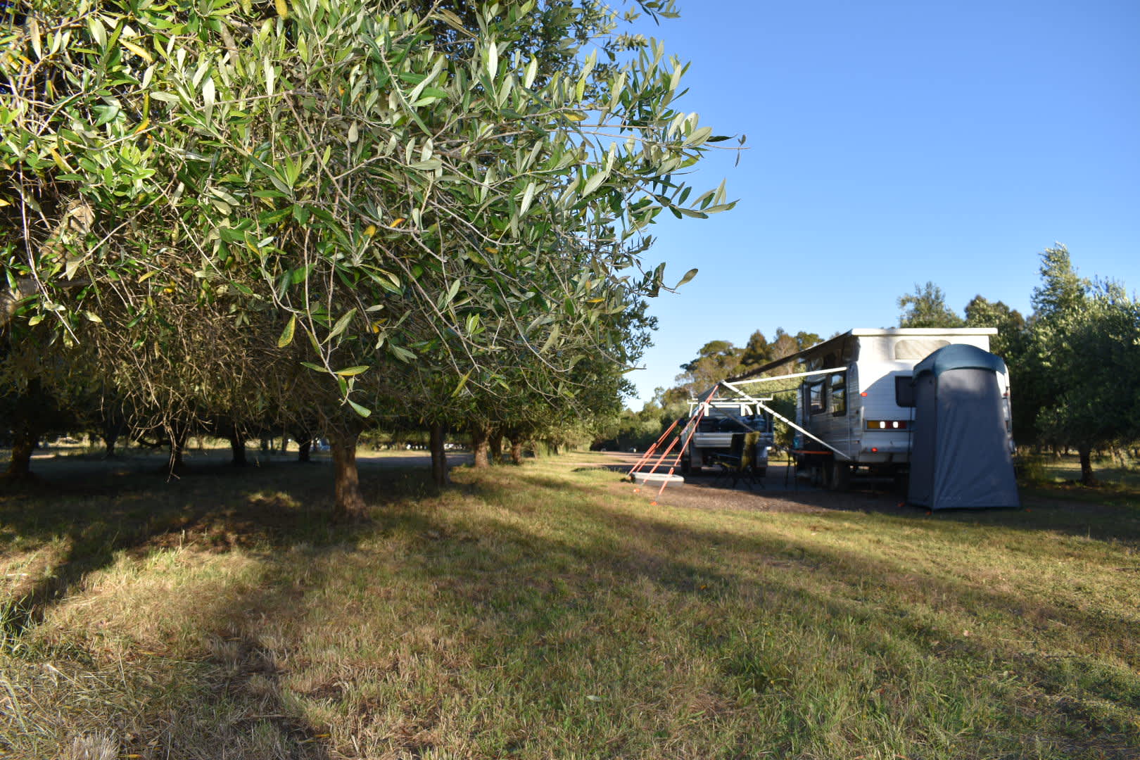 Olive Hill Farm RV Campground Margaret River - Hipcamp in Osmington ...