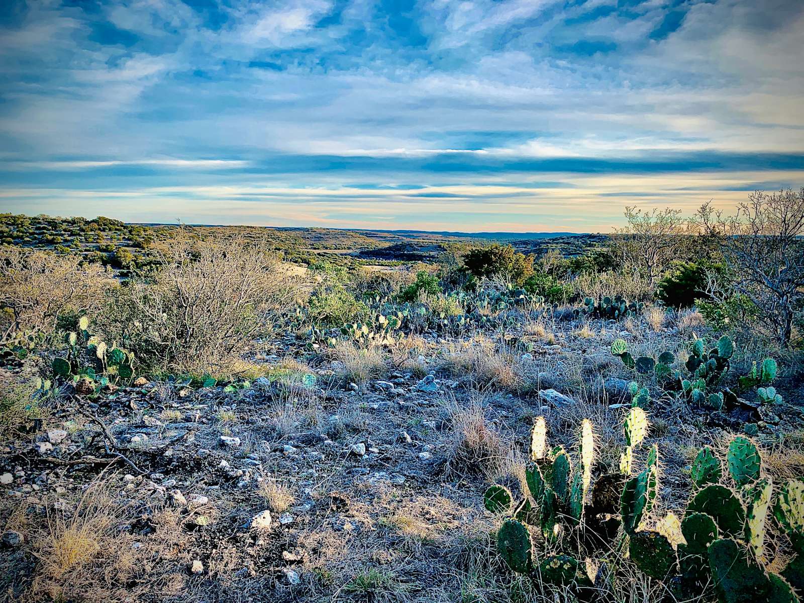 Star Gazer's Primitive Camping Site - Hipcamp in Rocksprings, Texas