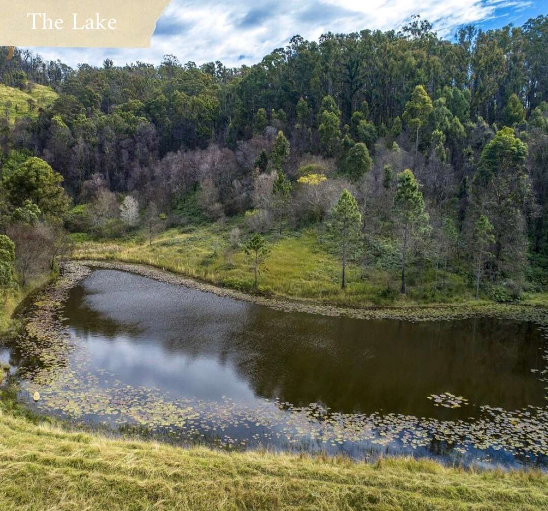 Whip Mountain Farm - Hipcamp in Yarranbella, New South Wales