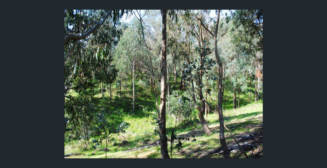 Mountain Escape - Hipcamp in Tolmie, Victoria