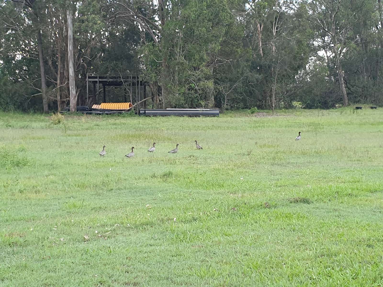 Tahtim coastal camping- Toorbul - Hipcamp in Toorbul, Queensland