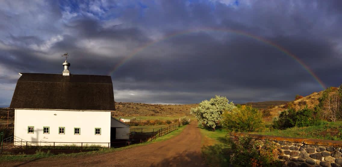 Diamond O Hayden - Hipcamp in Hayden, Colorado