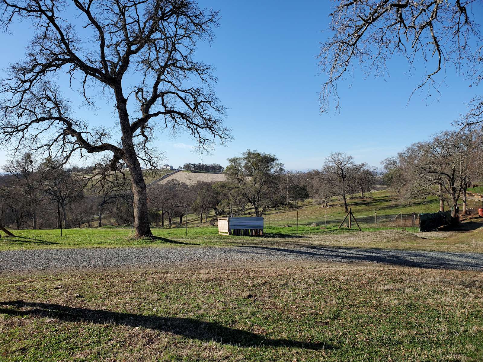 Bella Branch at SE Ranch - Hipcamp in Shingle Springs, California