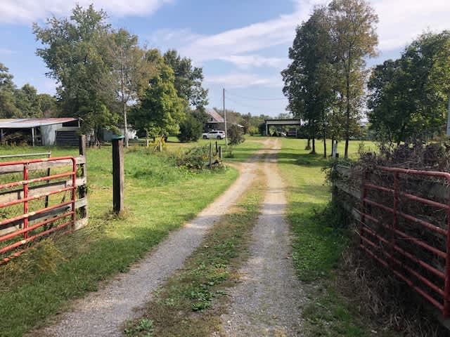 A Magical Place to Visit - Hipcamp in Clarkrange, Tennessee