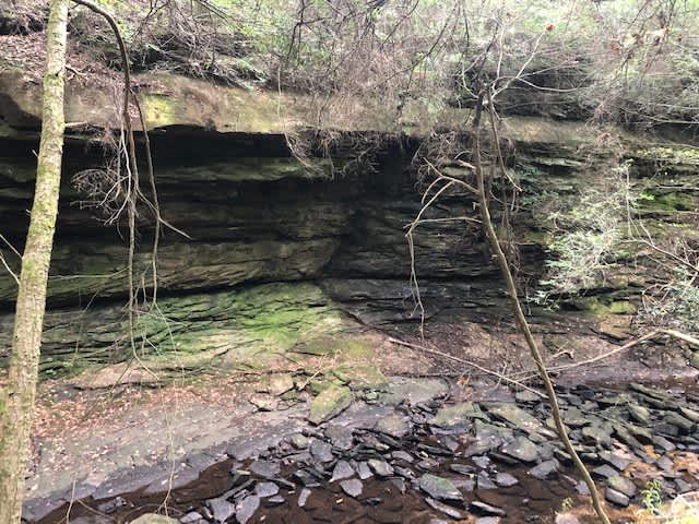 A Magical Place to Visit - Hipcamp in Clarkrange, Tennessee