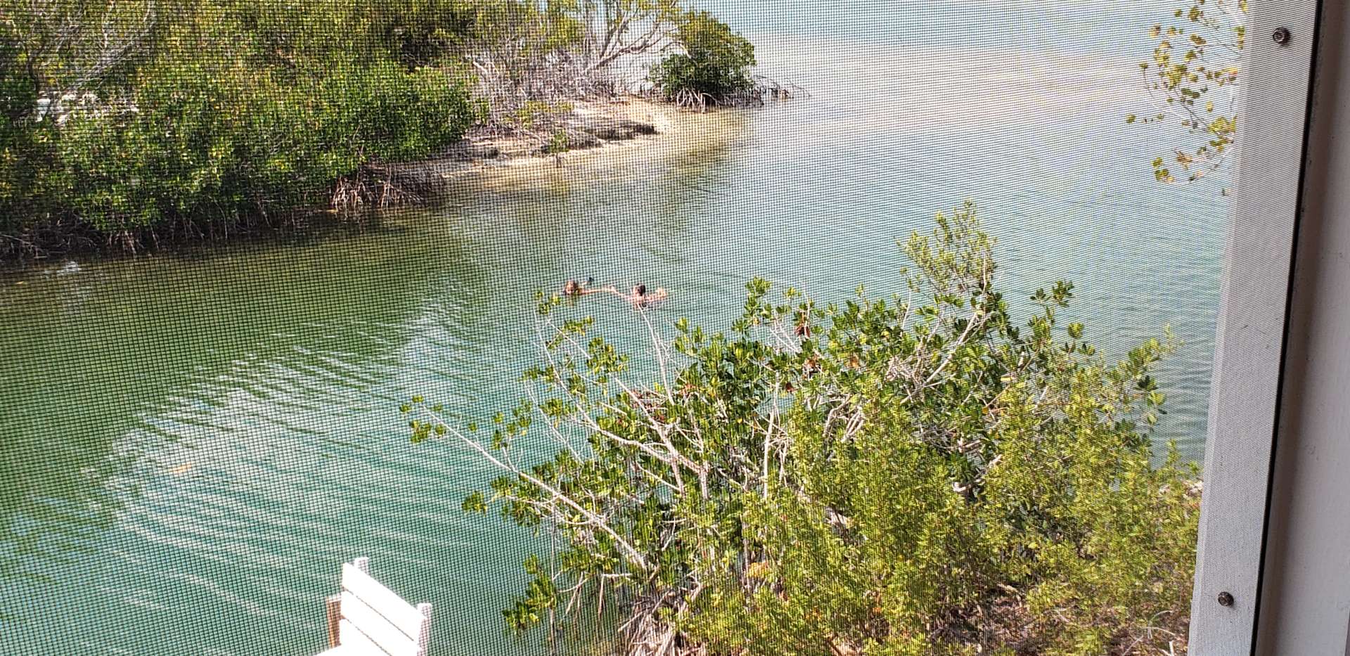 Jason A.’s Land - Hipcamp in Upper Sugarloaf Key, Florida