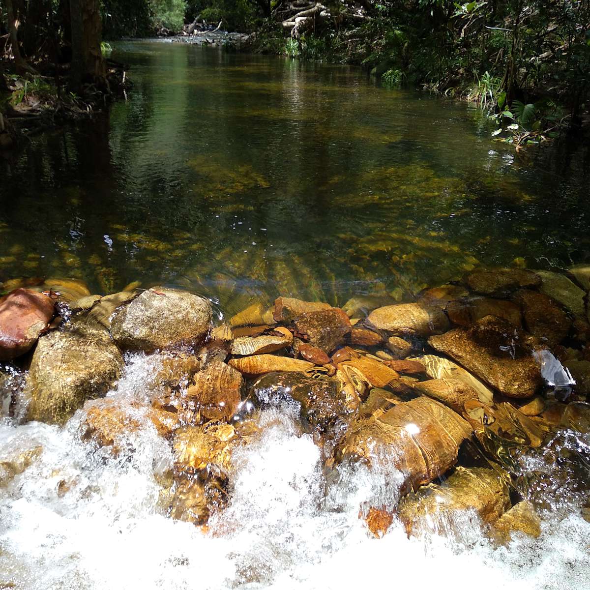 Barrier Reef Beach Break - Hipcamp in East Trinity, Queensland