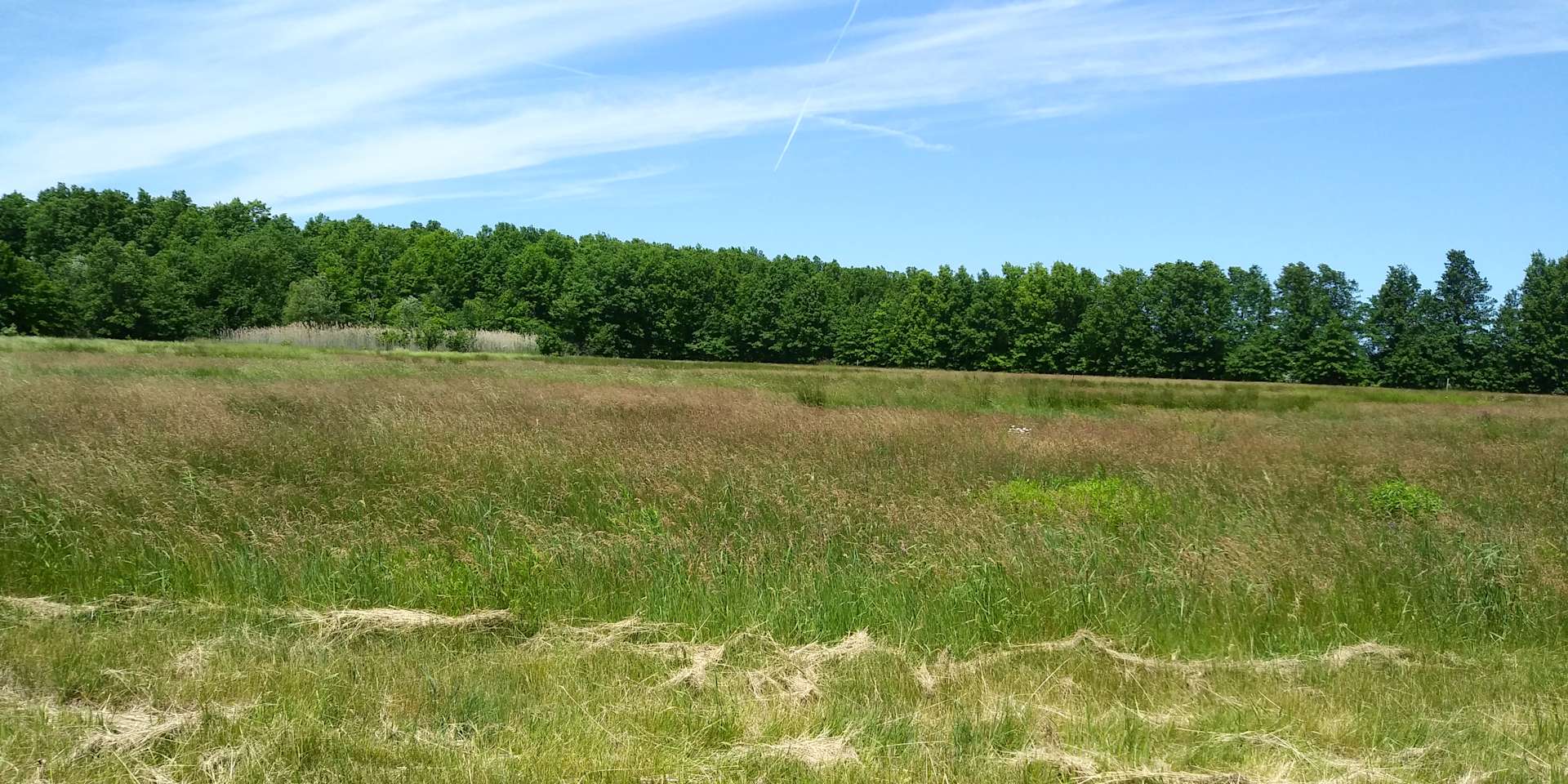 Acorn Lodge Red Oak Forest - Hipcamp in Niagara On The Lake, Ontario