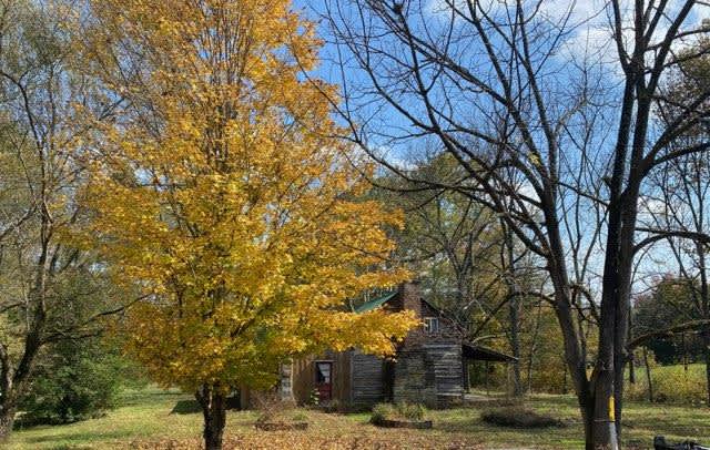 Trees,critters,and quiet - Hipcamp in Columbia, Kentucky