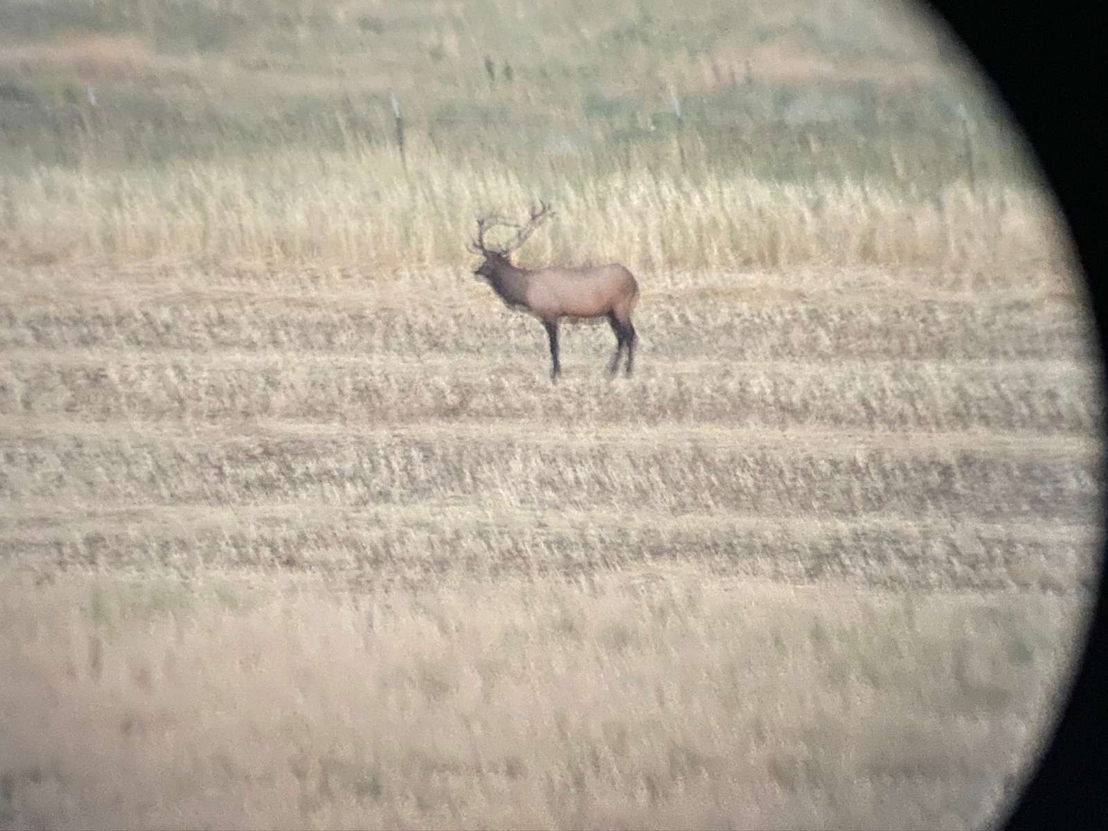 Henefer Valley Overview - Hipcamp in Henefer, Utah