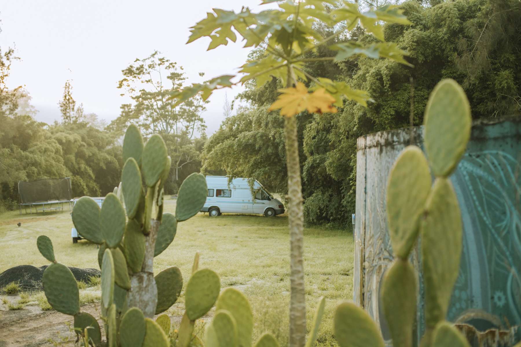 Zaytuna Eco Hamlet - Hipcamp in The Channon, New South Wales