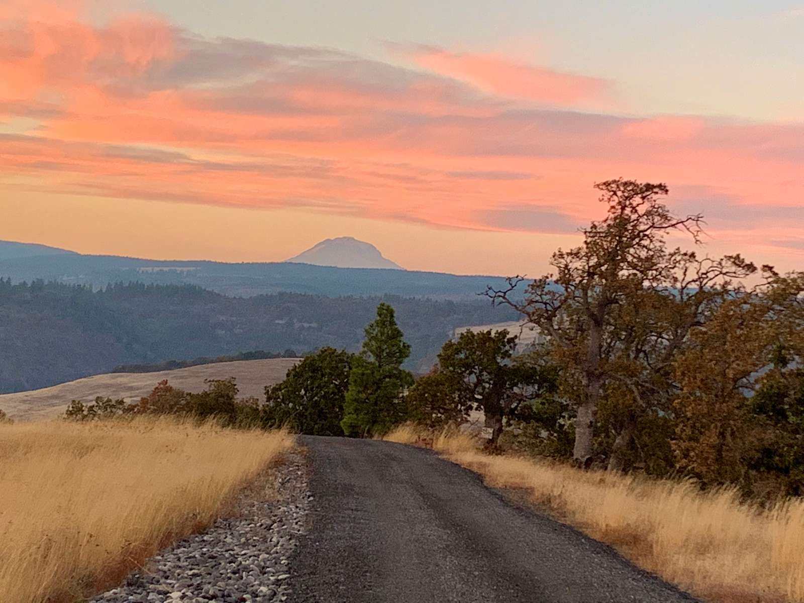 The Forest Cupcake - Hipcamp in Lyle, Washington