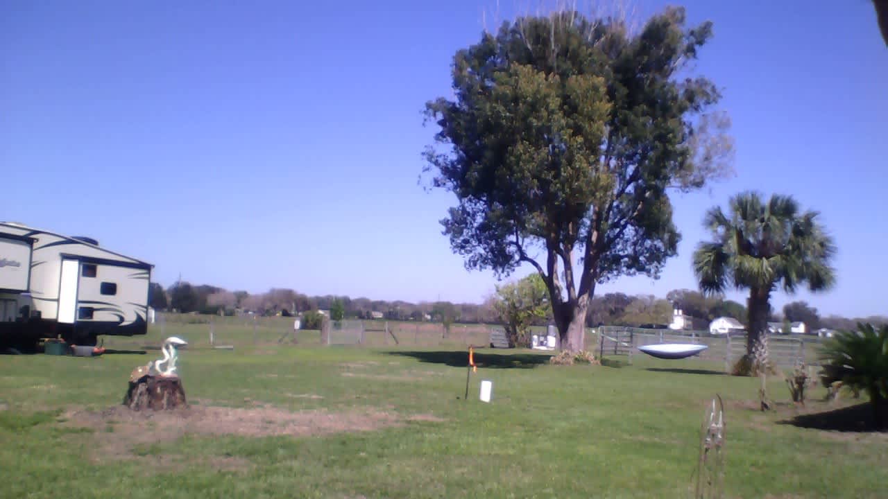 Pennylane Farm - Hipcamp in Sorrento, Florida
