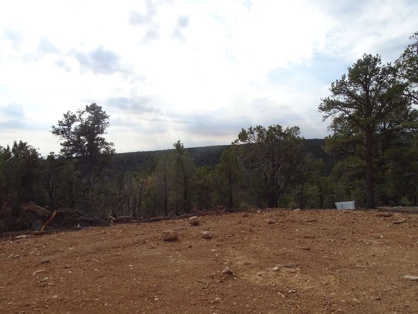 Pine Forest Overlook - Hipcamp in Alton, Utah