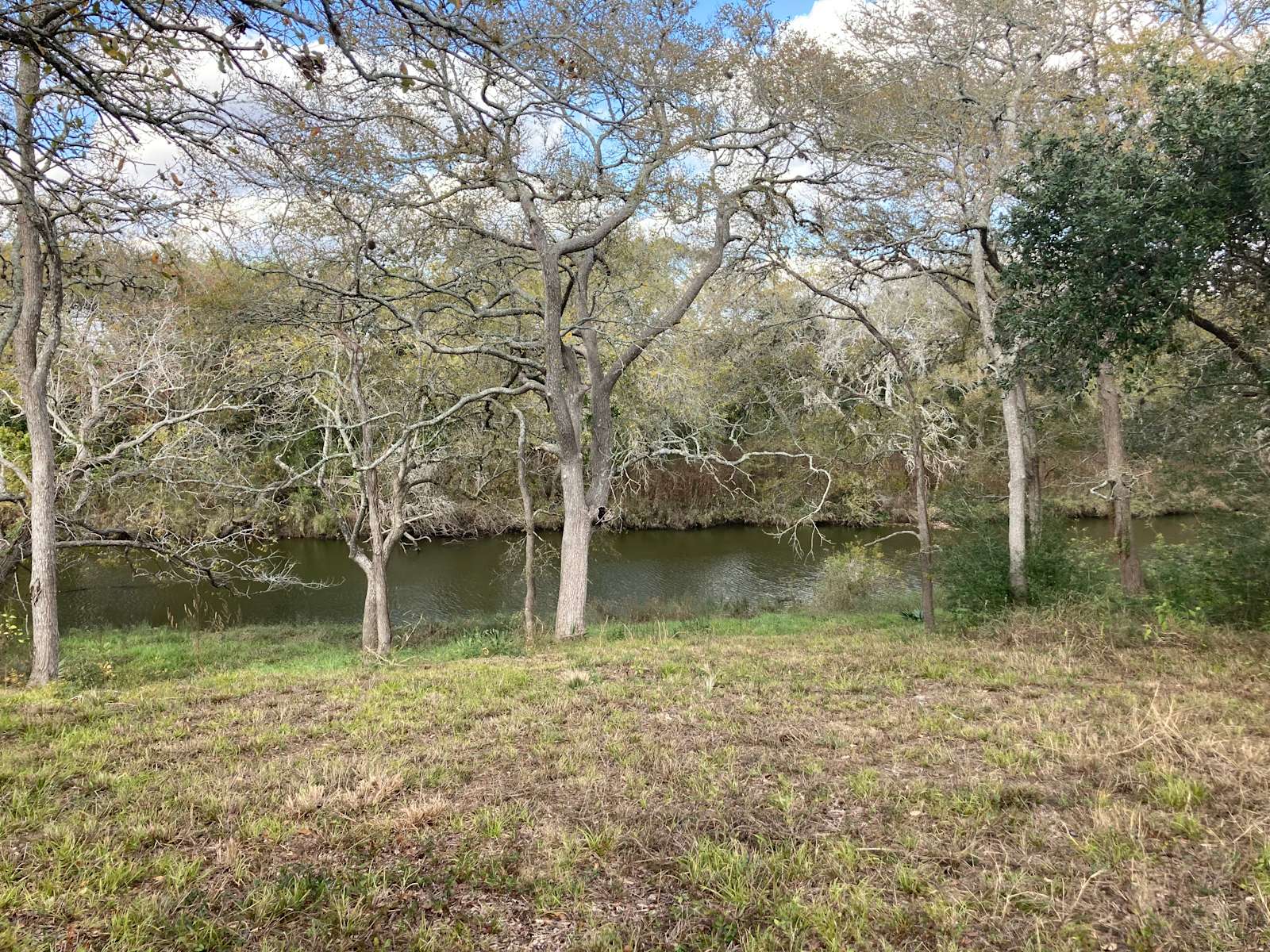 Palacious Weekend Camp - Hipcamp in Palacios, Texas