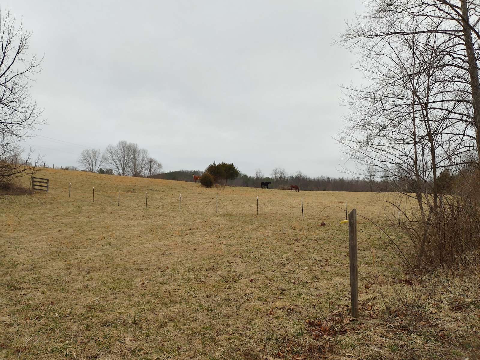 Hanging Rock Homestead - Hipcamp in Augusta, West Virginia
