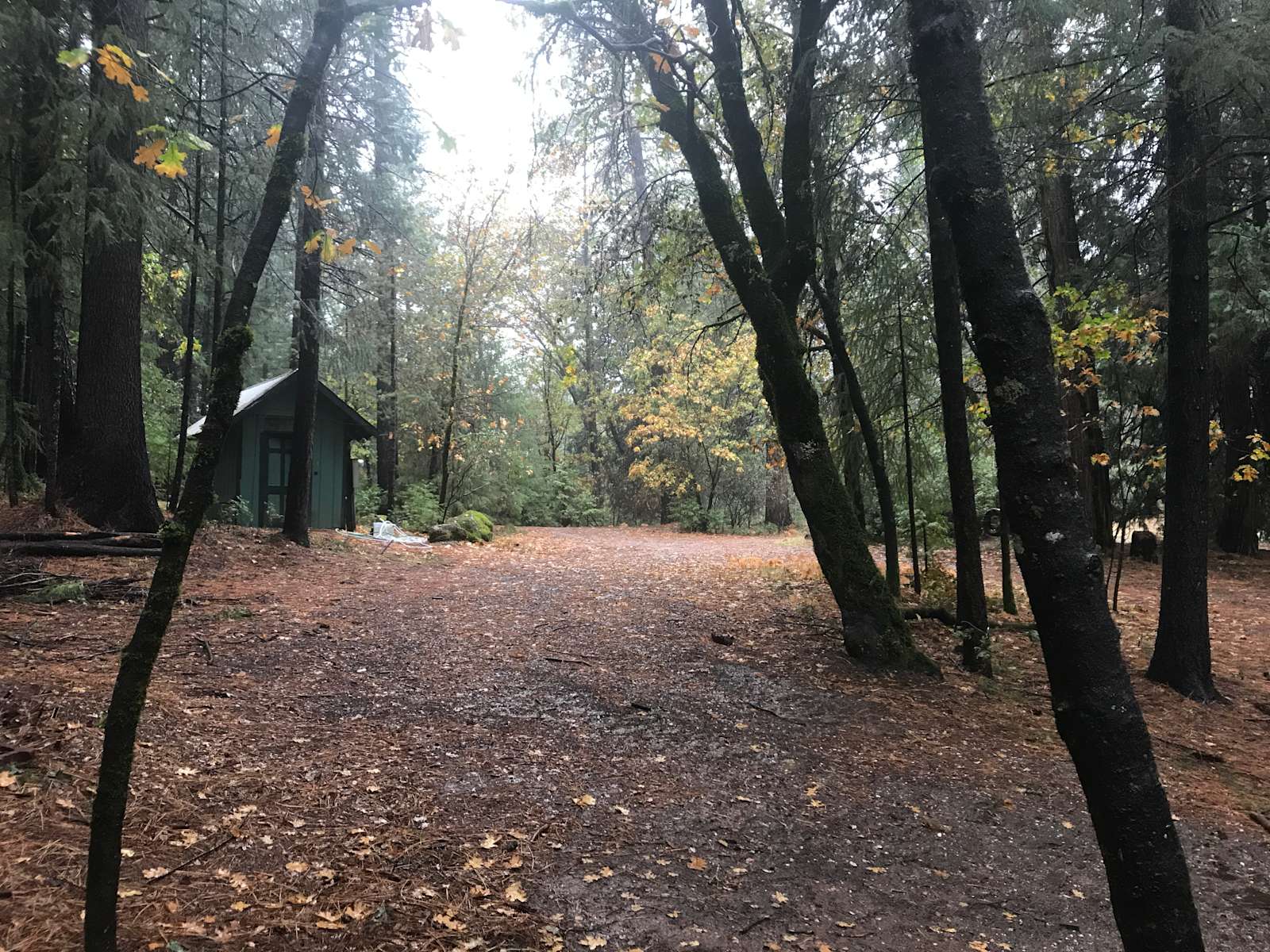 Lawrence Bs Land Hipcamp In Grass Valley California