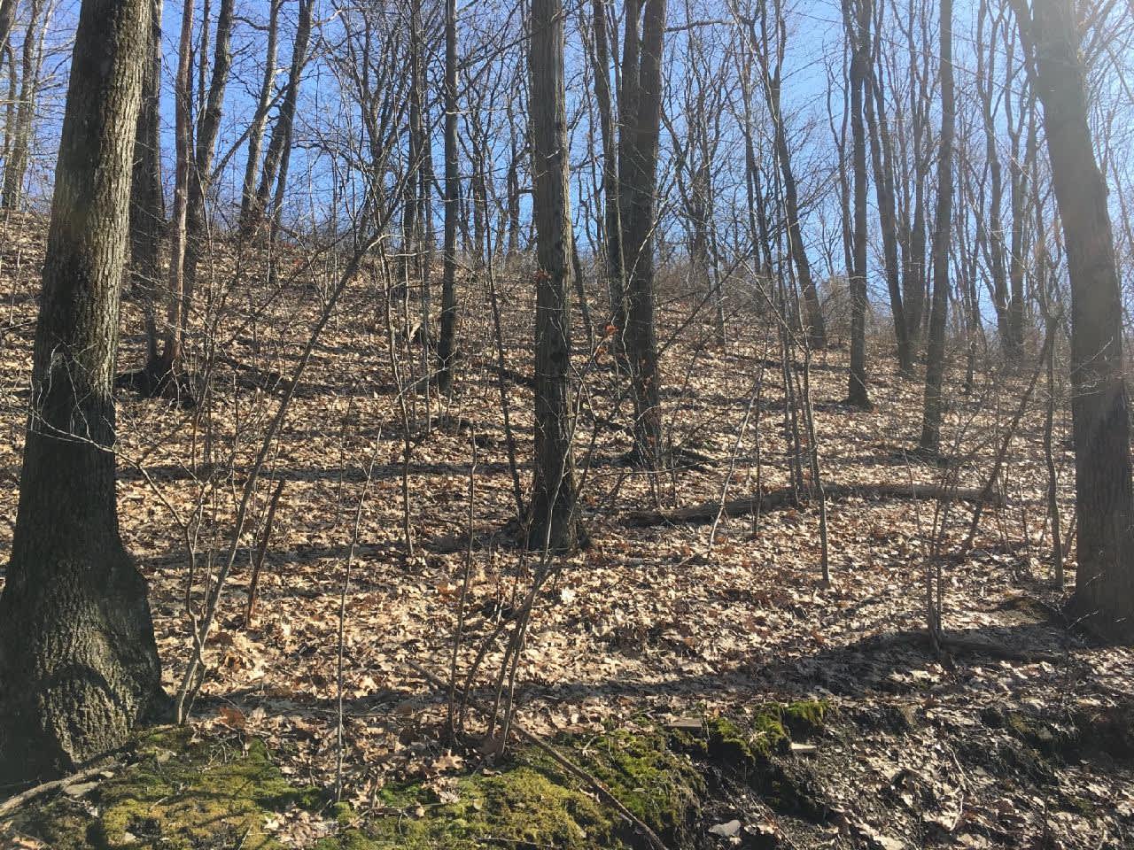 Creative roots - Hipcamp in Binghamton, New York