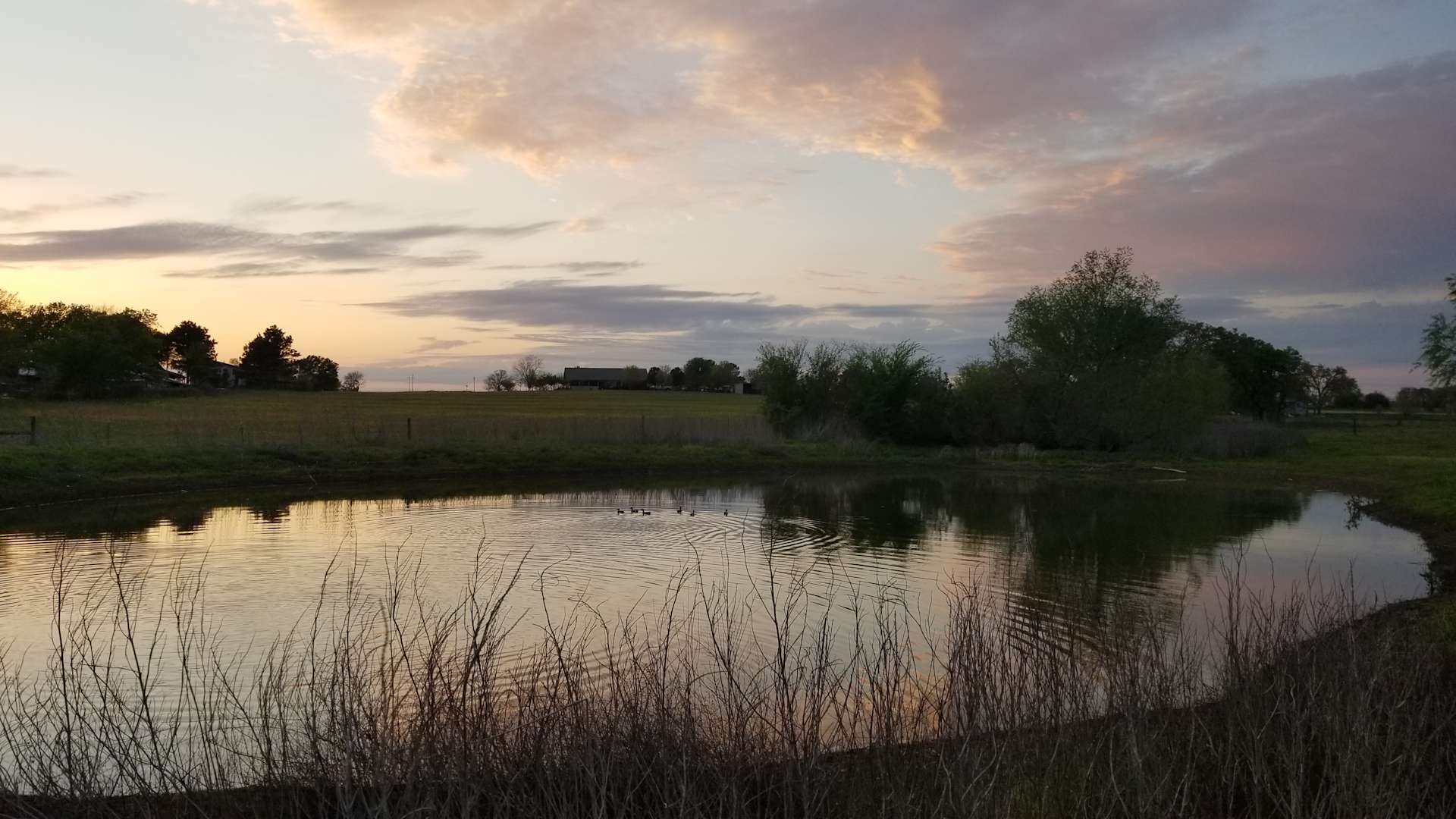 Headlong Farm - Hipcamp in Elgin, Texas