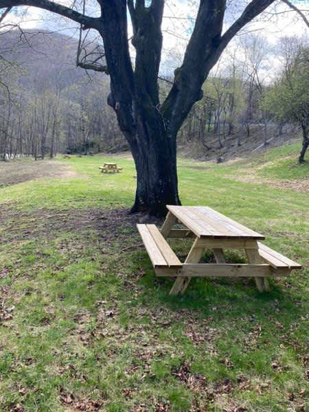 Beautiful Pendleton County WV - Hipcamp in Franklin, West Virginia