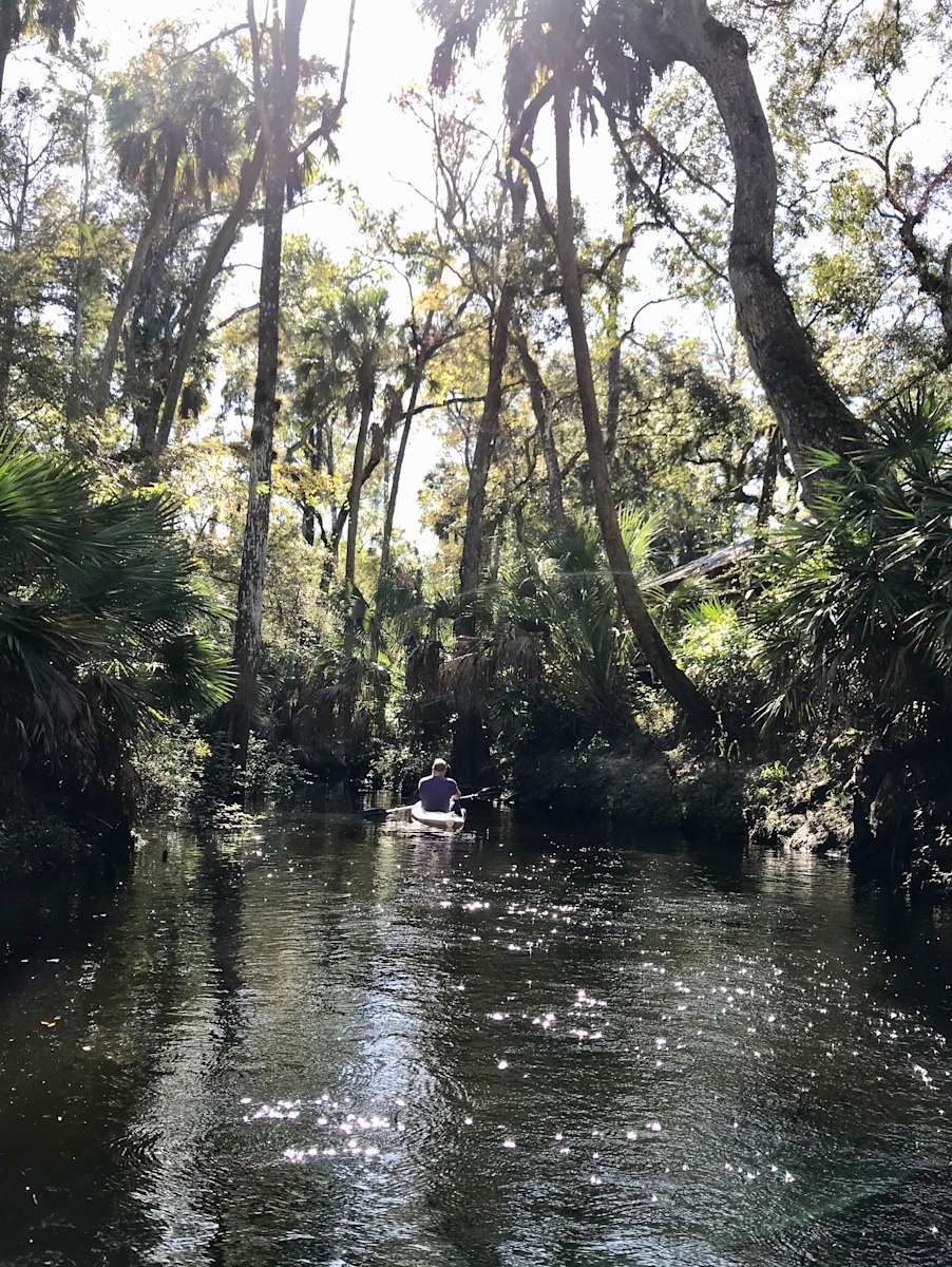 Cotee River Bend - Hipcamp in New Port Richey, Florida