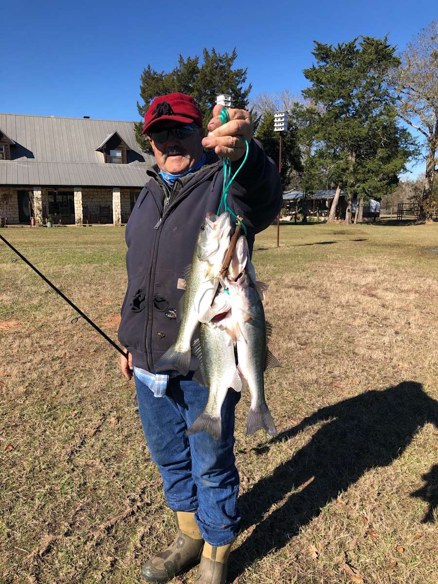 6 RV (30 & 50amp),tent, boondocking - Hipcamp in Cat Spring, Texas