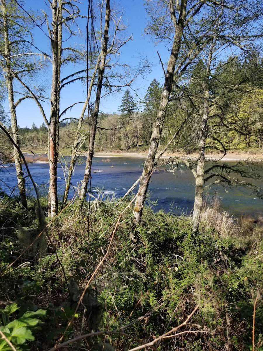 River Ranch Campground - Hipcamp in Roseburg North, Oregon
