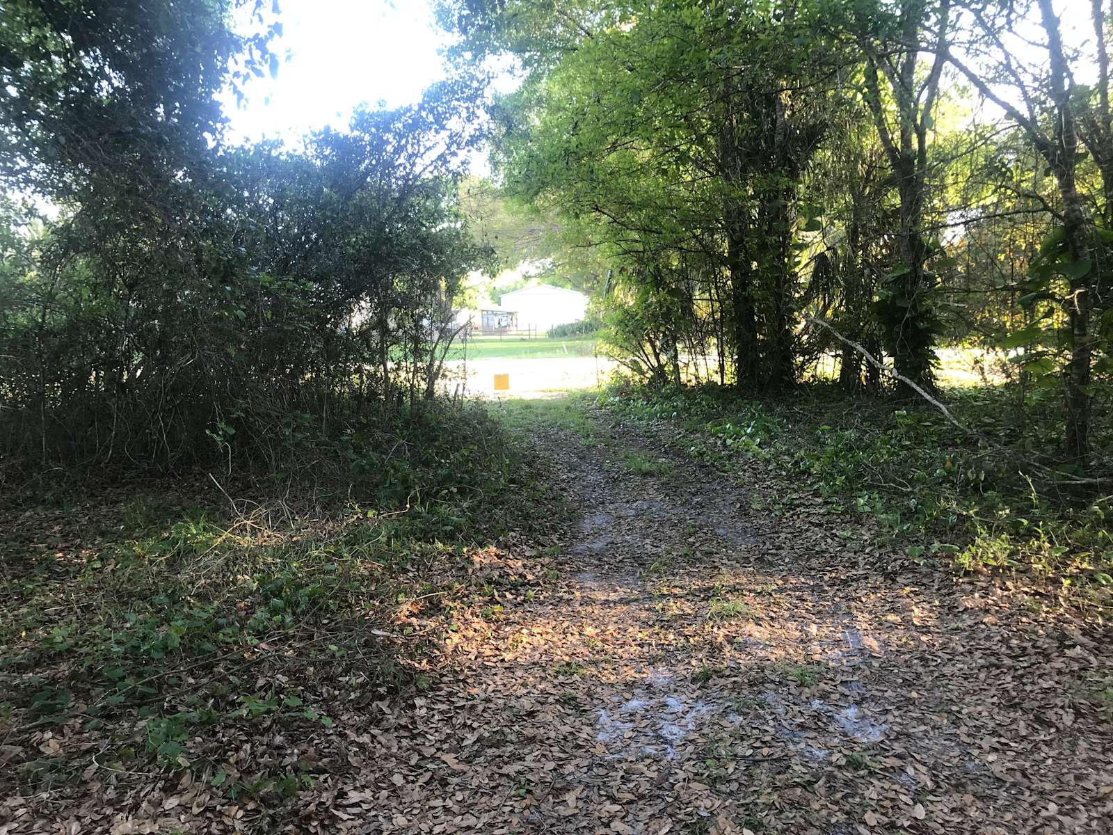 Rancho Reyes - Hipcamp in Lorida, Florida