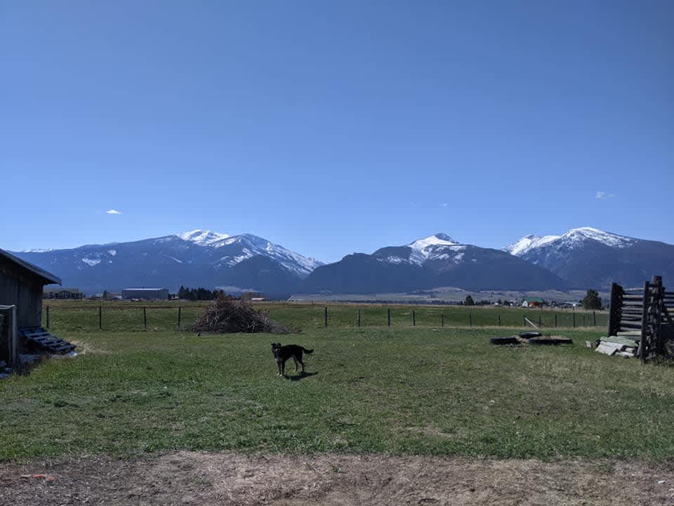 Rockin' L Ranch - Hipcamp in Stevensville, Montana