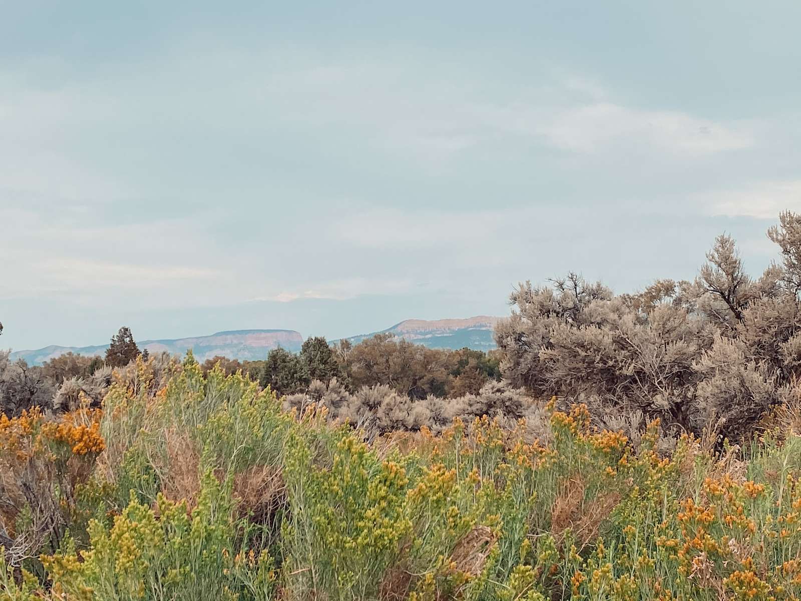 Tyler W.’s Land - Hipcamp in Hatch, Utah