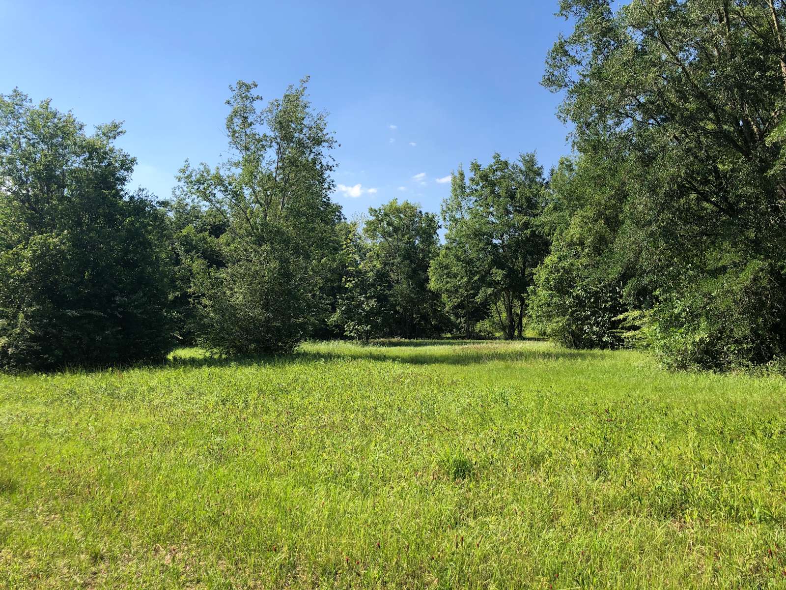 GML Farm Primitive Camping - Hipcamp in Boston, Georgia