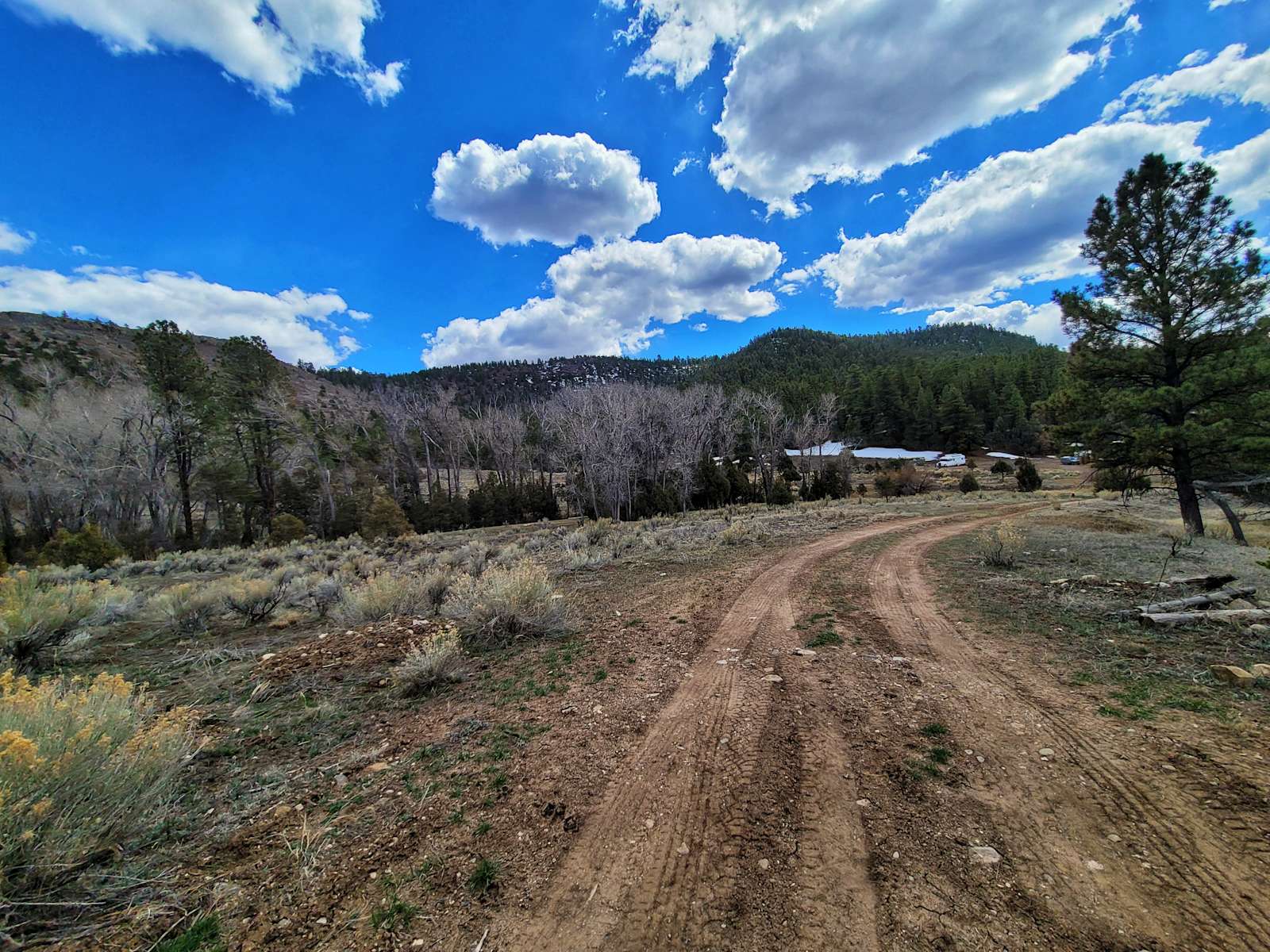 Rojo ojo - Hipcamp in La Madera, New Mexico
