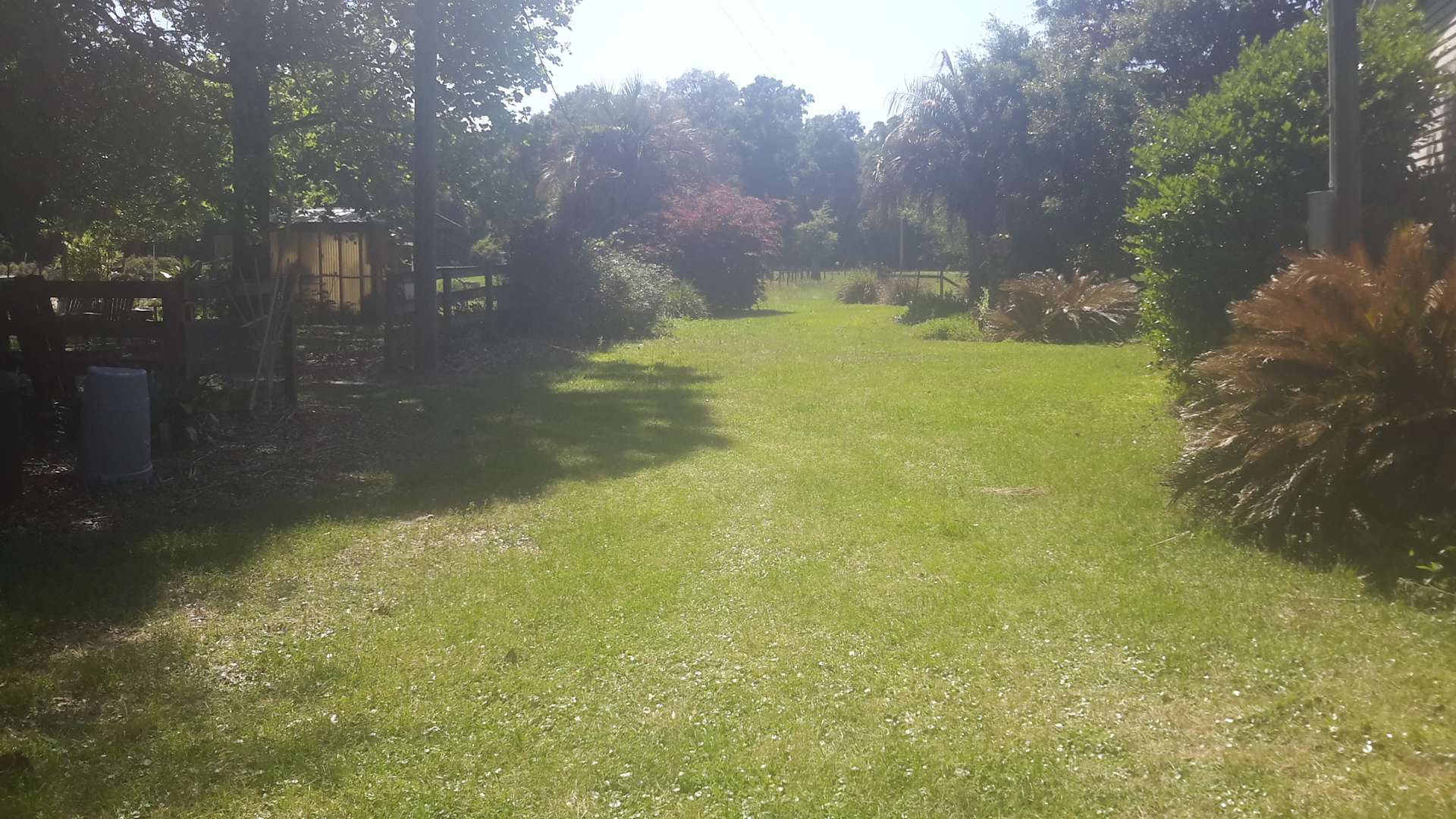 Castanea Farm - Hipcamp in Alachua, Florida