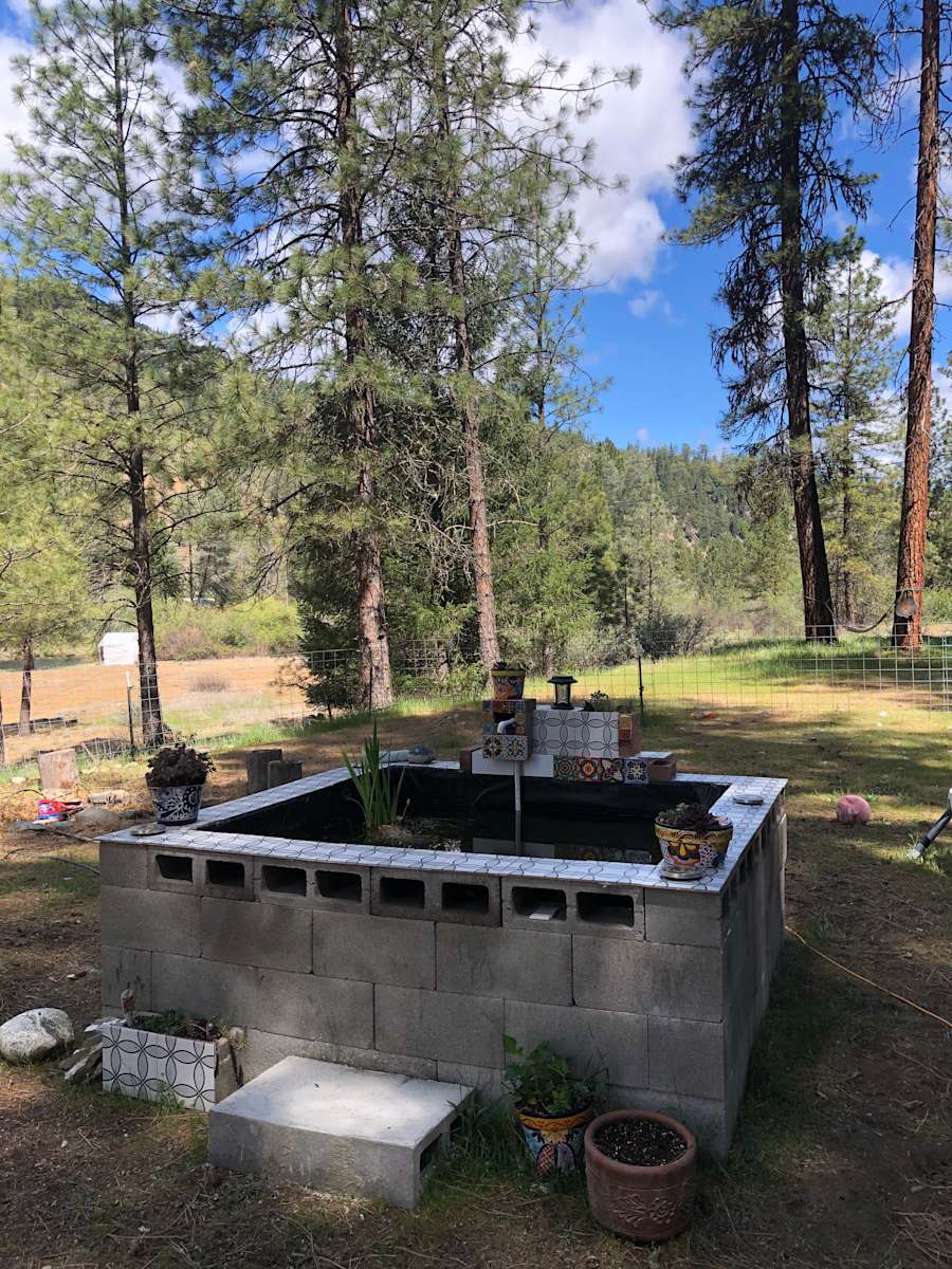 Colleen T.’s Land - Hipcamp in Lewiston, California