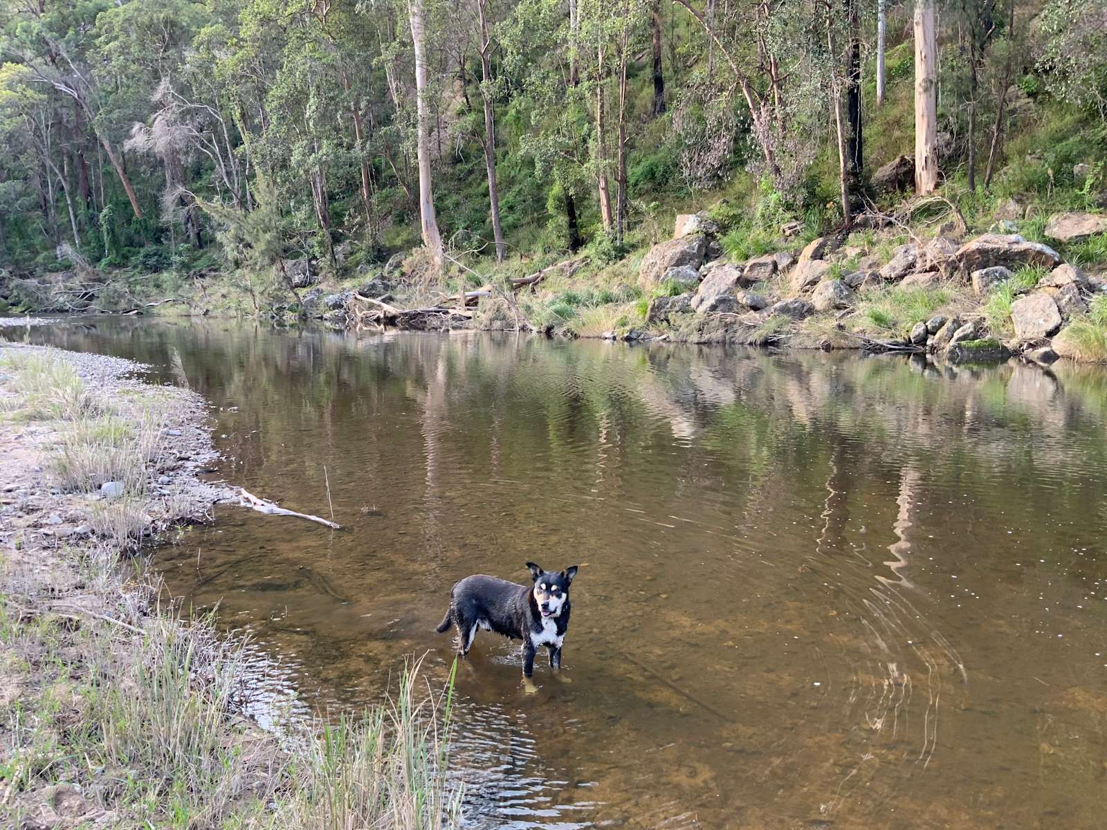Timbarra Valley - Hipcamp in Rocky River, New South Wales