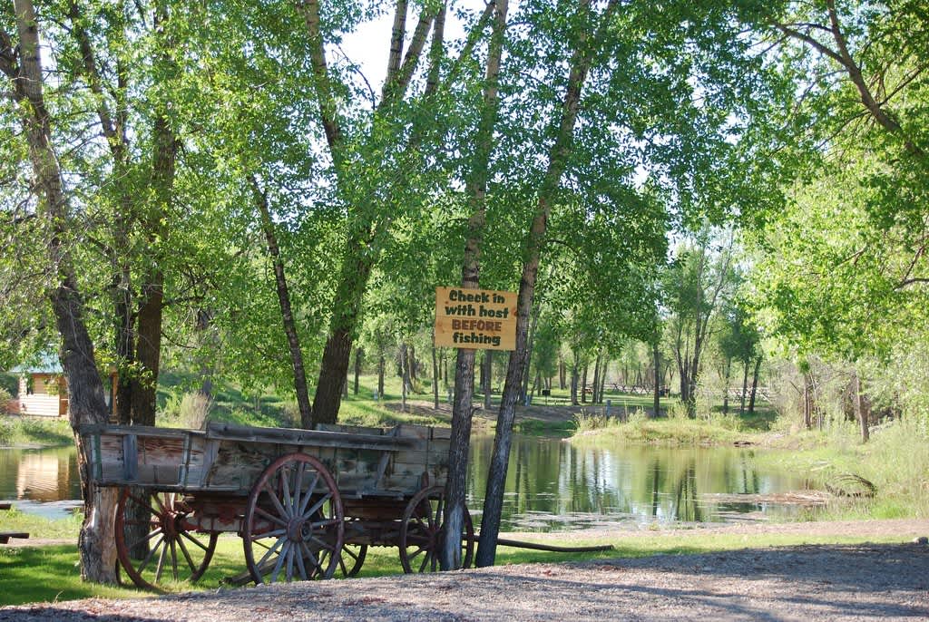 Mountain River Ranch - Hipcamp in Ririe, Idaho