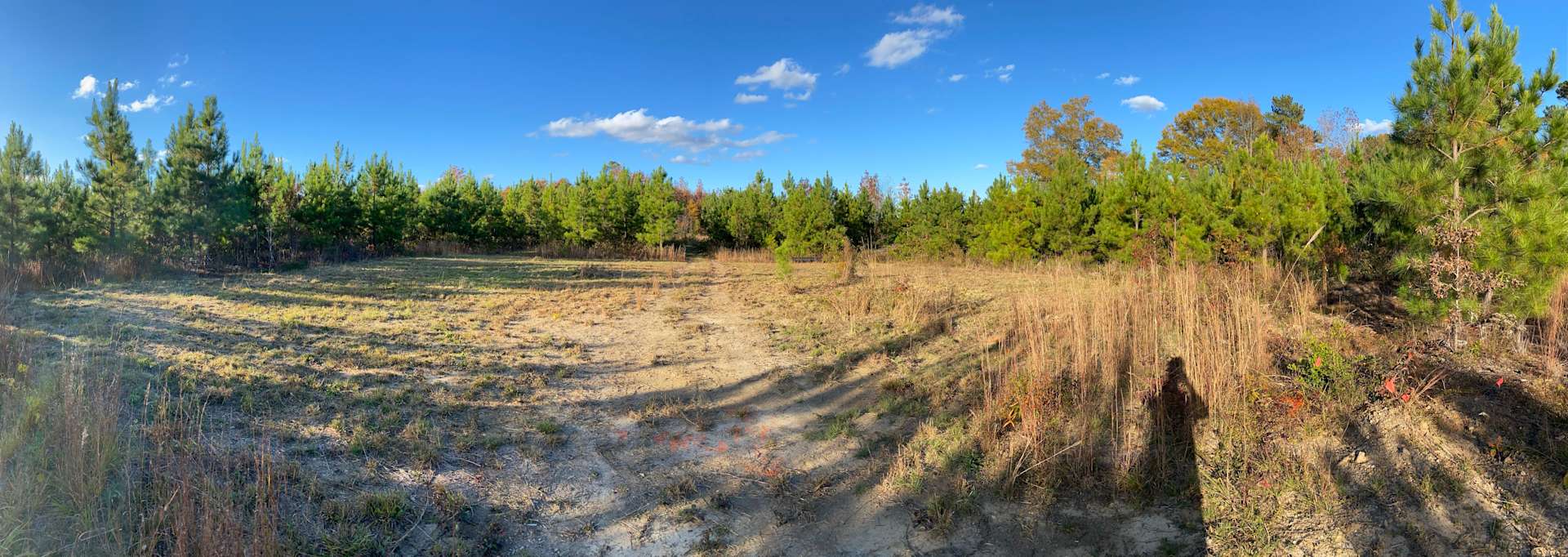 Kyle’s I85 waypoint - Hipcamp in Warfield, Virginia