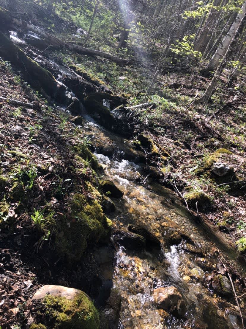 Hawk's Ridge - Hipcamp in Wallingford, Vermont