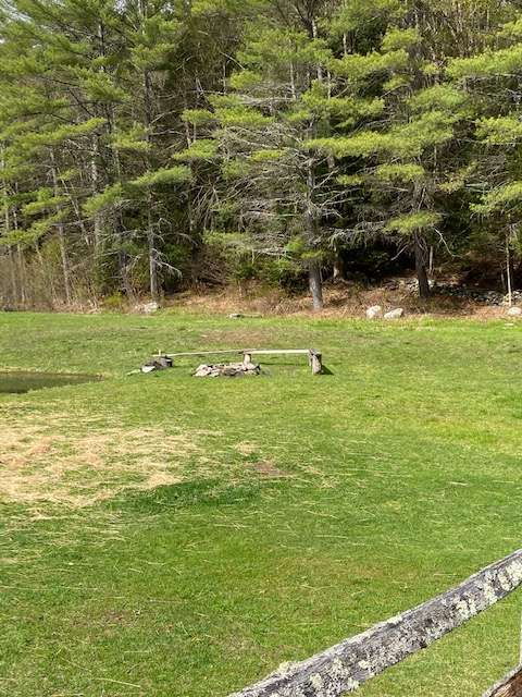 Dana M.’s Land - Hipcamp in Grafton, Vermont