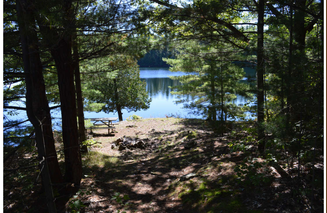 Lakefront Escape from the City - Hipcamp in Godfrey, Ontario