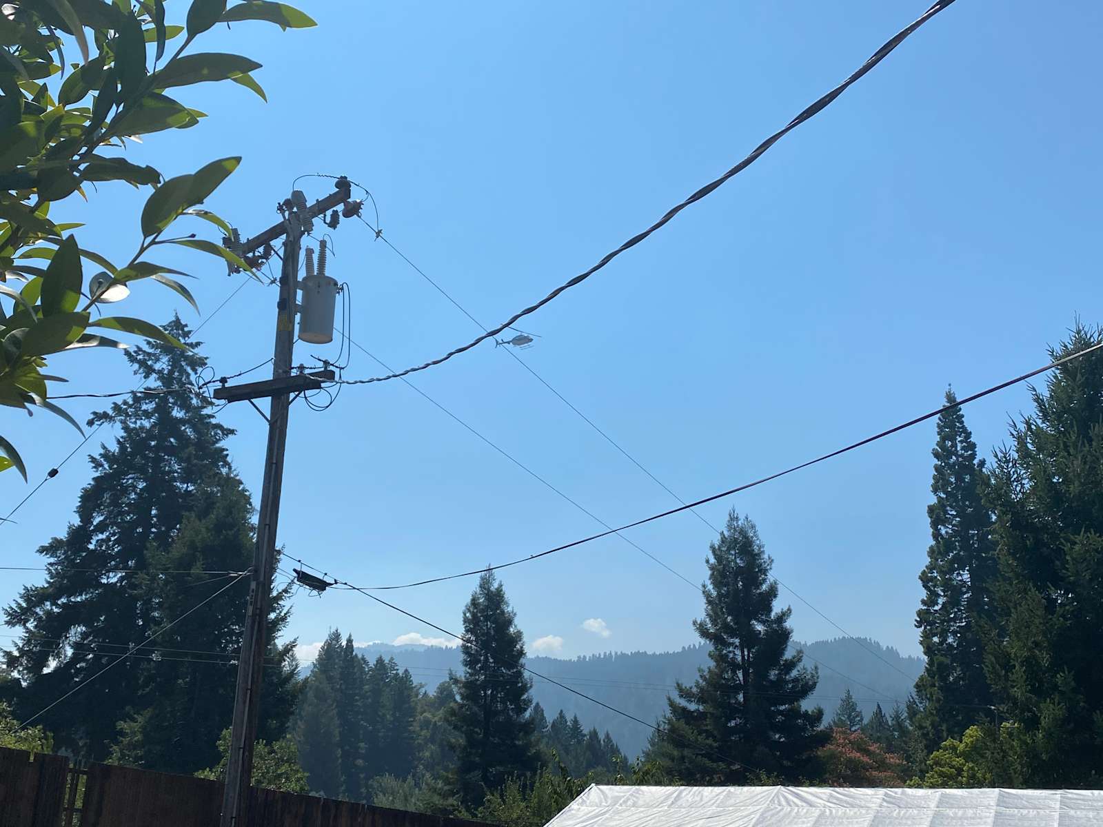 Six Rivers Forest RV Camping - Hipcamp in Salyer, California