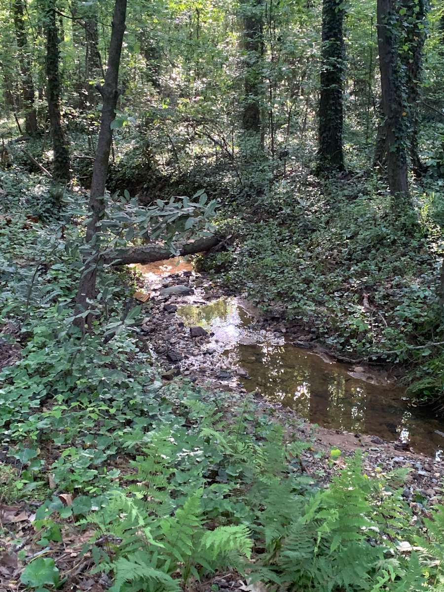 Hippie Camp - Hipcamp in Kennesaw, Georgia