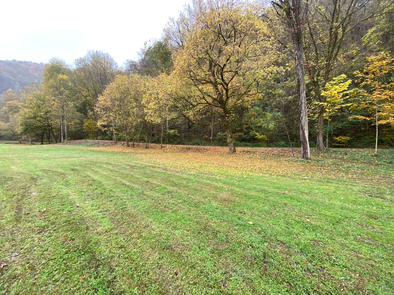 Hatfield McCoy trails and historical adventures - Hipcamp in Mc Carr ...